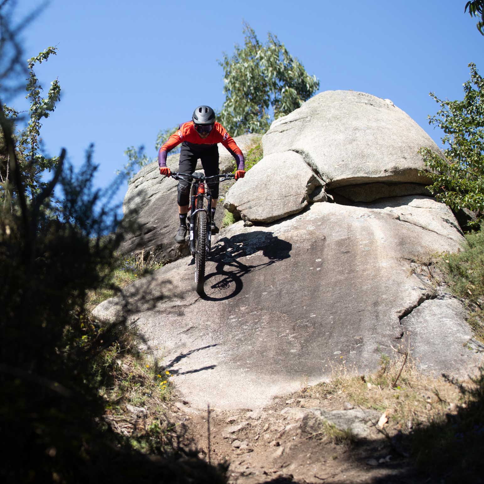 MTB – Alta HQ